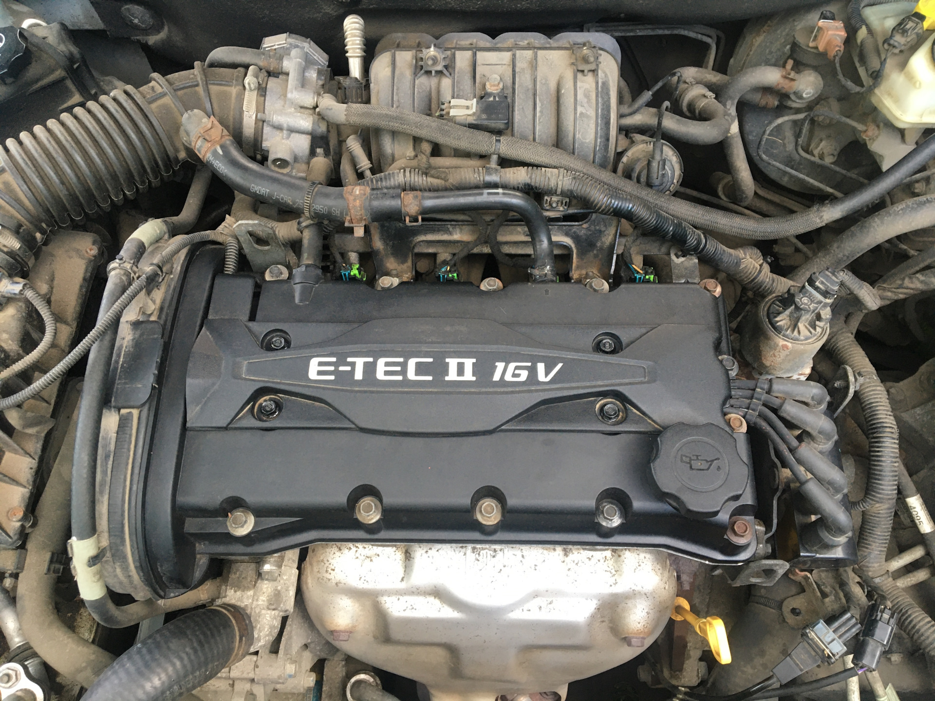 Течь клапанной крышки двигателя — Chevrolet Cruze Hatchback, 1,6 л ...