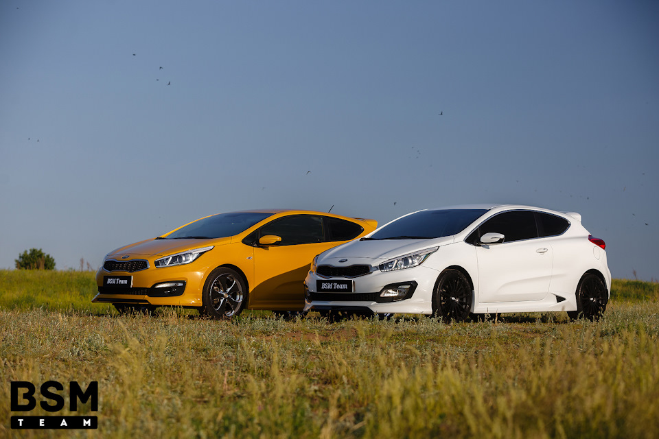 BSM Team: отзывы, цены, фото