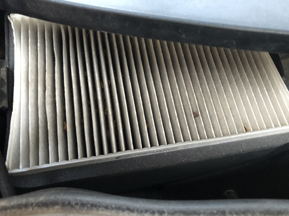 Замена фильтра салона — Lada Granta Sport, 1,6 л, 2016 года ...