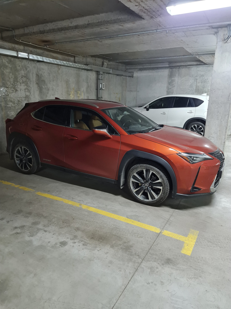 Шиномонтаж Лето-Зима 23/24 — Lexus UX Hybrid, 2 л, 2019 года | шины | DRIVE2