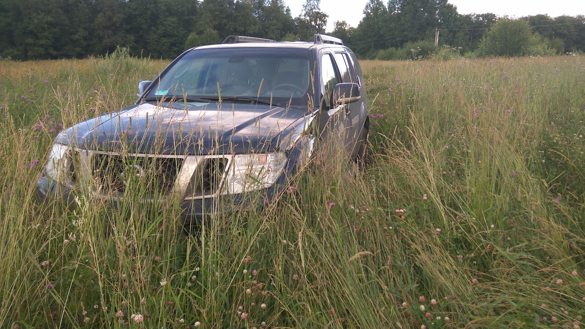 Nissan Pathfinder (3G) 2.5 дизельный 2011 | 2.5 на DRIVE2