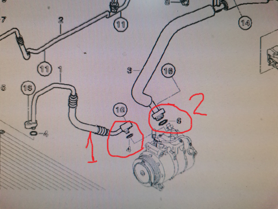 Косяк в разборочном чертеже или?.. — BMW 5 series (E60), 2,2 л, 2004 ...