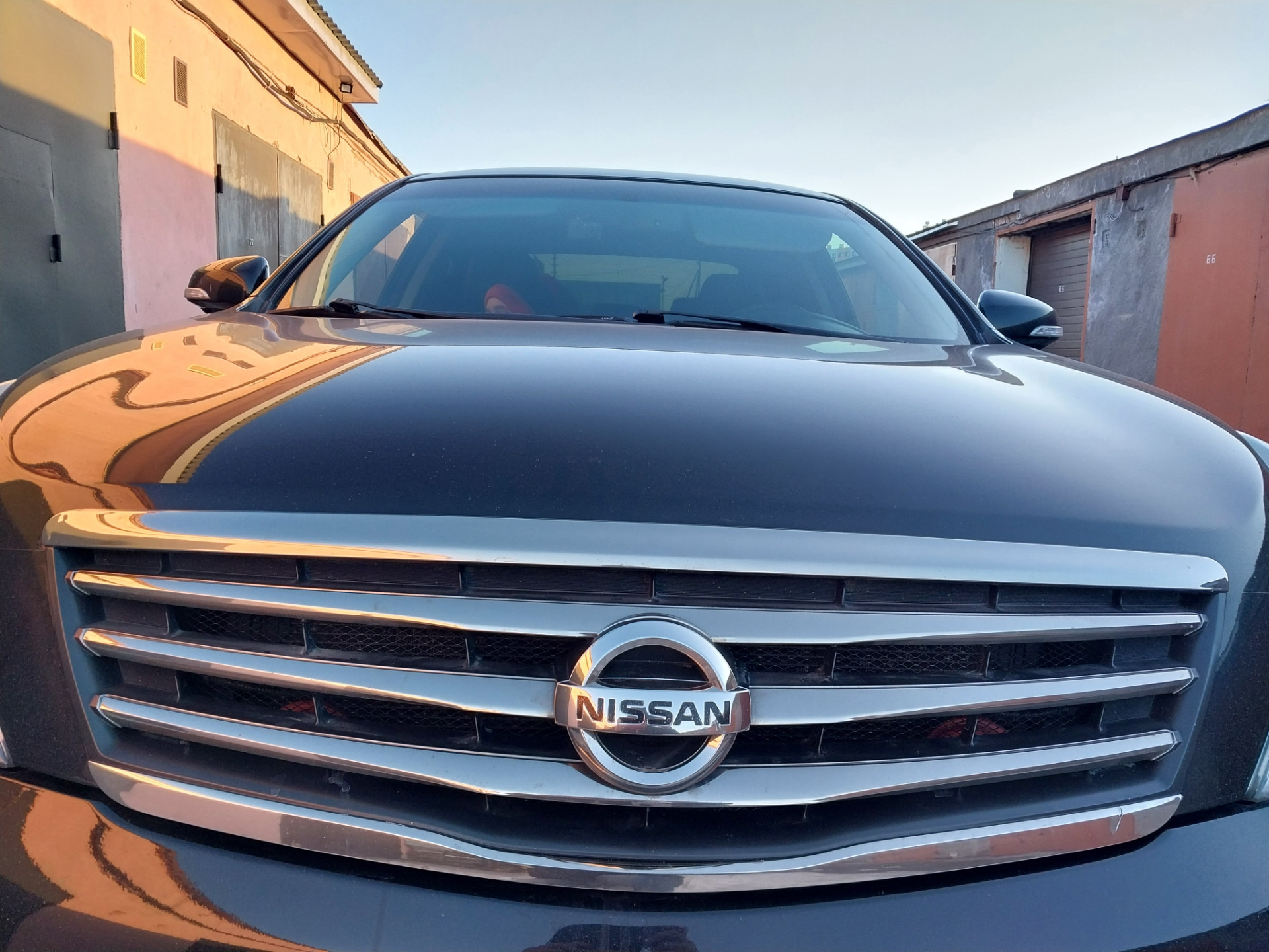 Сетка в решетку радиатора — Nissan Teana (J32), 2,5 л, 2012 года ...