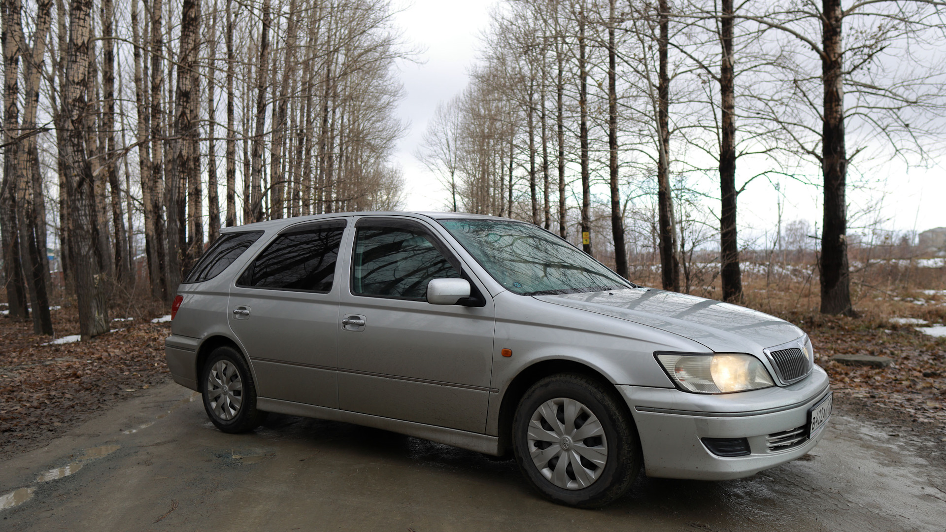 Toyota Ardeo (V50) 2.0 бензиновый 2002 | на DRIVE2