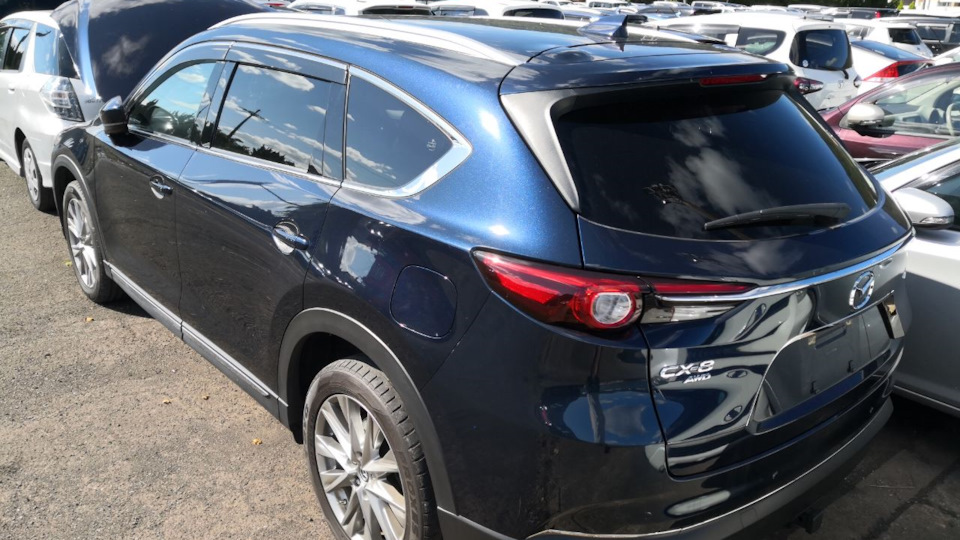 Mazda CX-8 2.2 дизельный 2018 | Синий дракон на DRIVE2