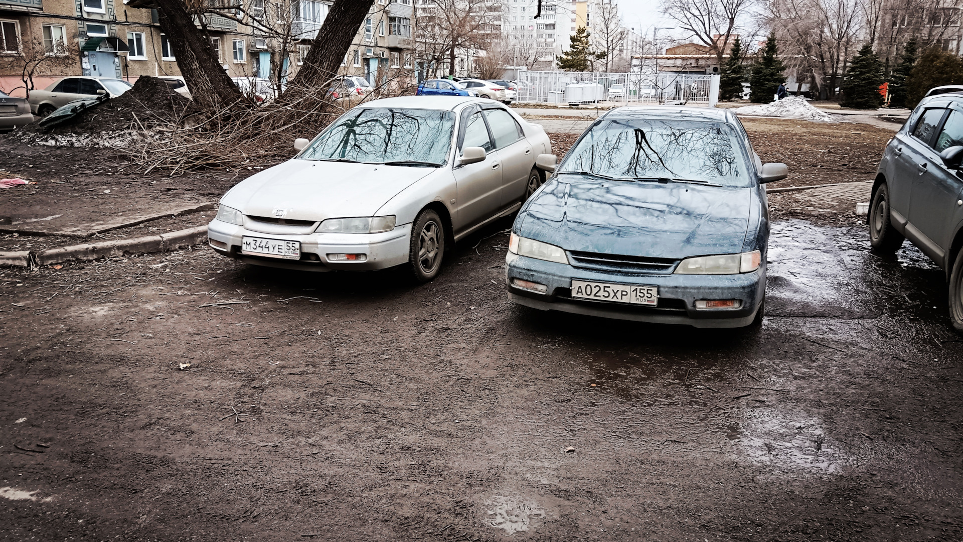 Honda Accord (5G) 2.7 бензиновый 1996 | CE6 Зелёнка на DRIVE2