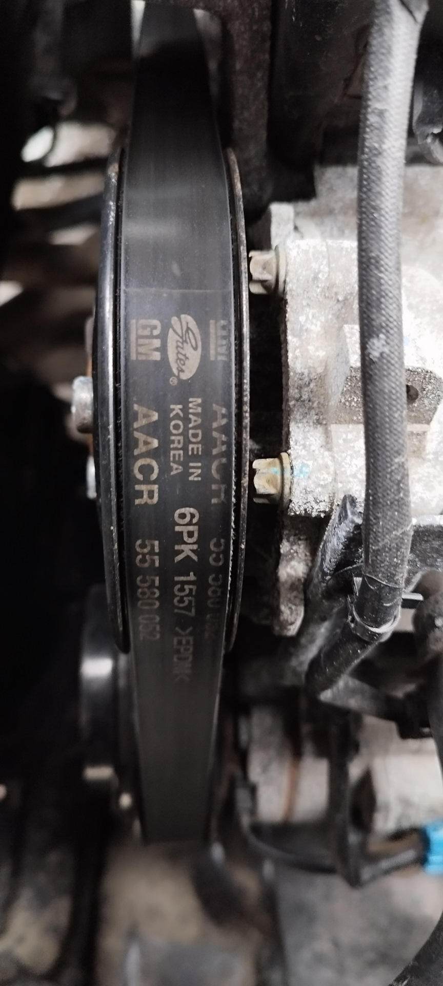 55580052 Ремень приводной Aveo T300 GM | Запчасти на DRIVE2