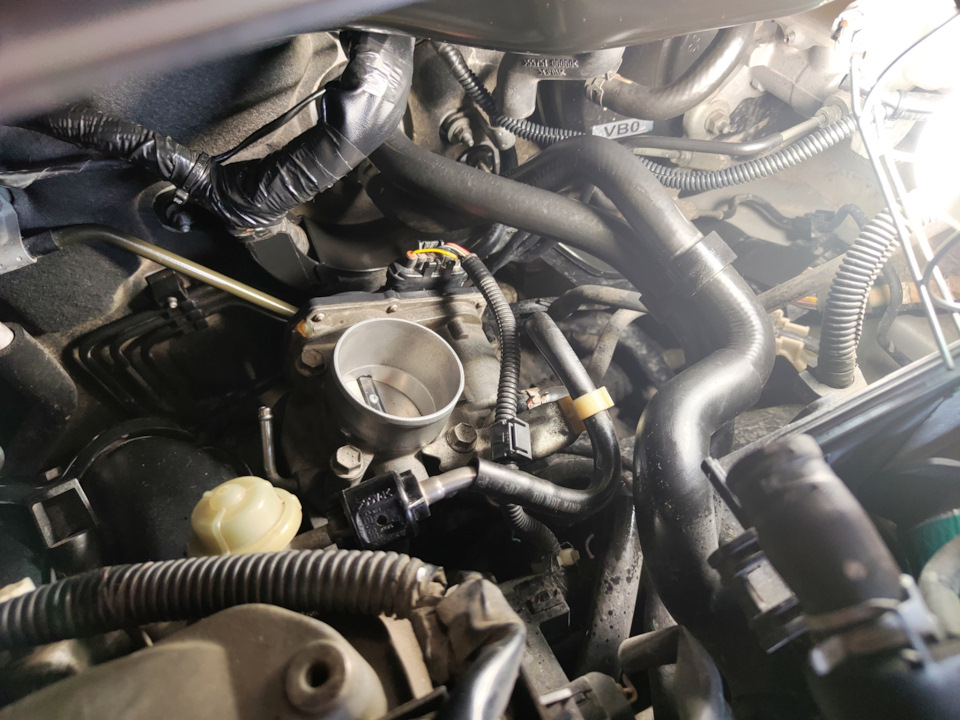 Ревизия дросселя, свечей. — Toyota Camry (XV40), 2,4 л, 2007 года ...