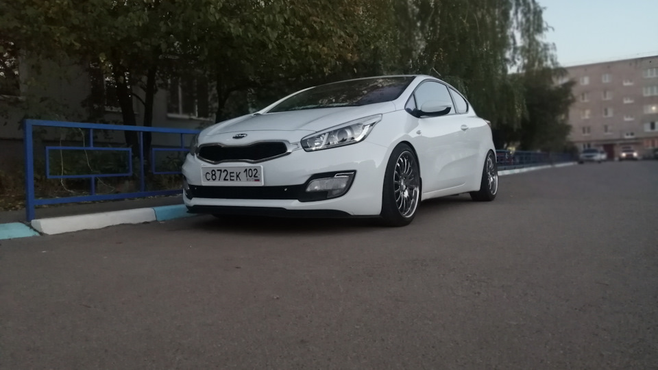 Лампы в ходовые огни — KIA Pro_Ceed (2G), 1,6 л, 2014 года ...