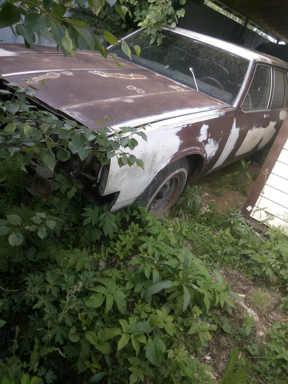 Пока стоит ждет. — Oldsmobile Custom Cruiser (2G), 5,7 л, 1984 года ...