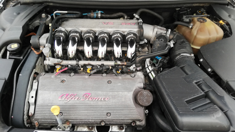 Alfa Romeo 166 2.5 бензиновый 1999 | Alfa Romeo V6 Busso на DRIVE2