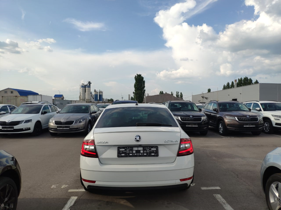 Шкода Октавия а7. Пересел с 1.6 автомат на 1.8 турбо DSG — DRIVE2