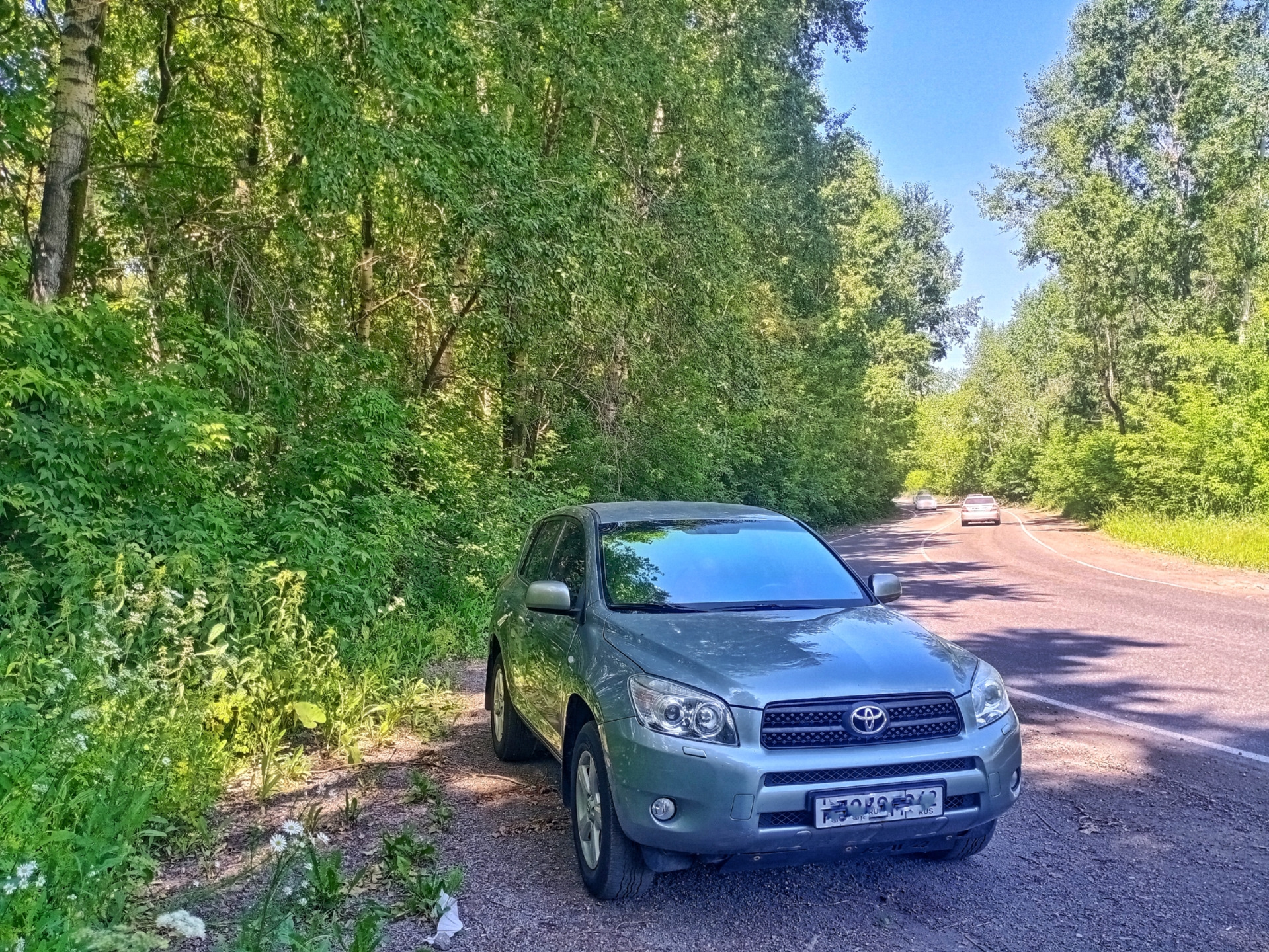 Лоб Хамелеон 93% — Toyota RAV4 (III), 2 л, 2007 года | стайлинг | DRIVE2