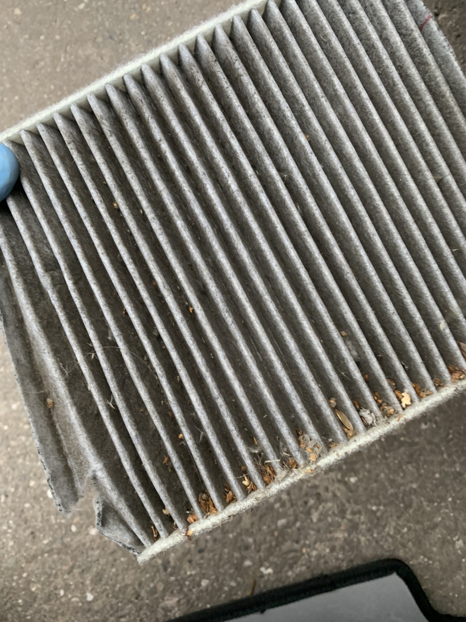 Фильтро-прóдулли и брызговики — FIAT 500 (1G), 1,4 л, 2008 года ...