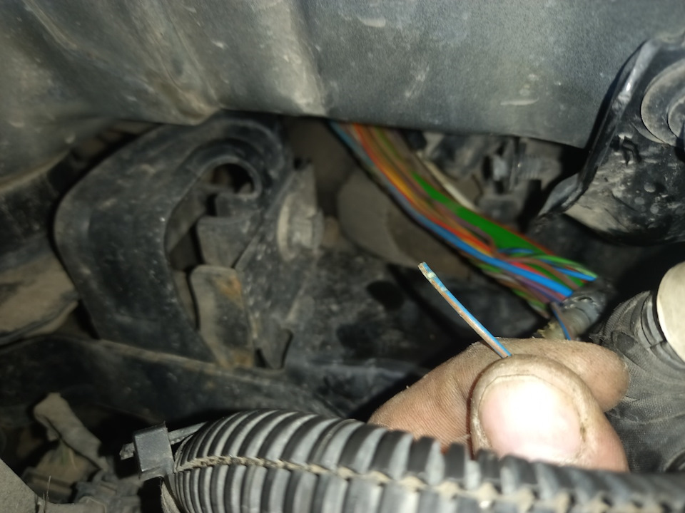 Поездка в Карелию — Volvo XC60 (1G), 2,4 л, 2016 года | аксессуары | DRIVE2