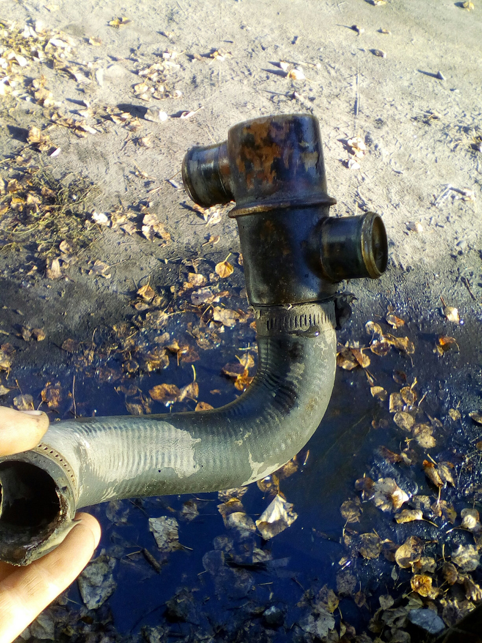 553265 Амортизатор передний правый. Серия Gas-A-Just KYB | Запчасти на ...