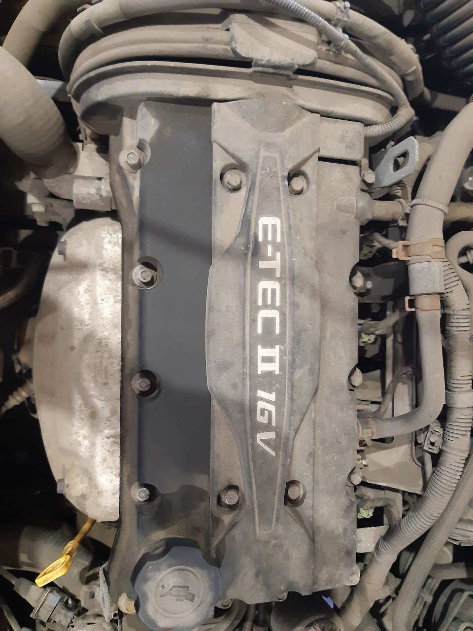 Качество масло GM — DRIVE2