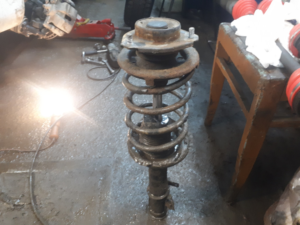Стойки передние Double Force — Toyota Corona Premio (T210), 1,8 л, 2000 ...