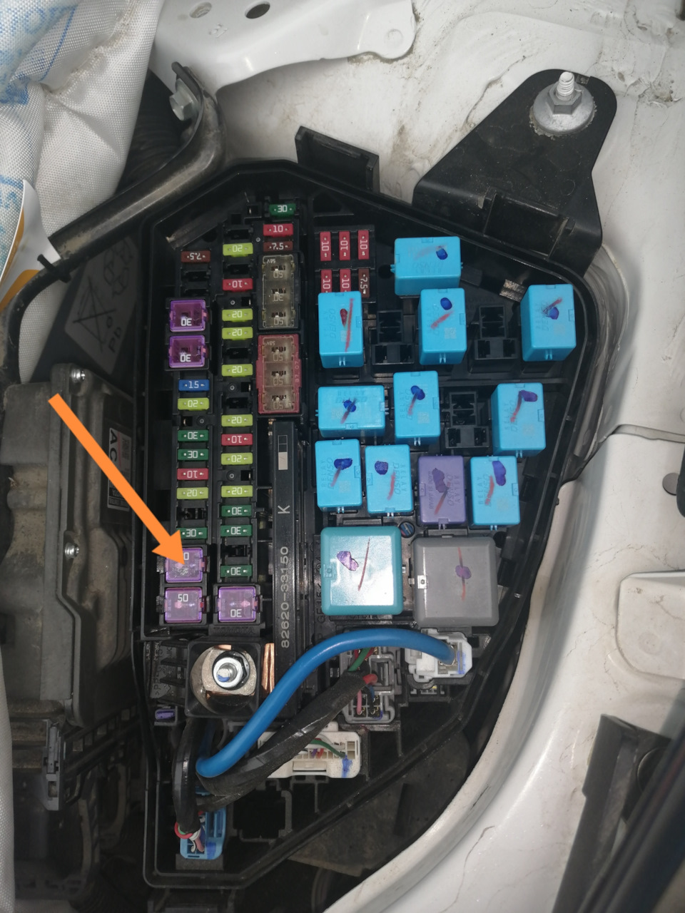 Зимнее напоминание (омыватель фар) — Toyota RAV4 (5G), 2,5 л, 2020 года ...