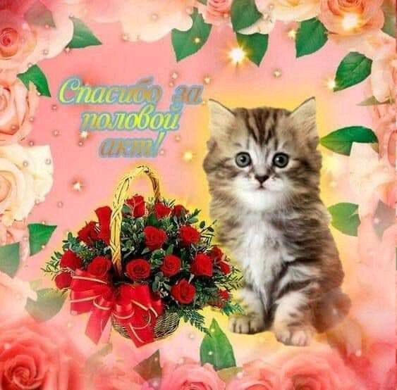 Перенос клапана ACIS — Toyota Cresta (80), 4 л, 1990 года | поломка ...