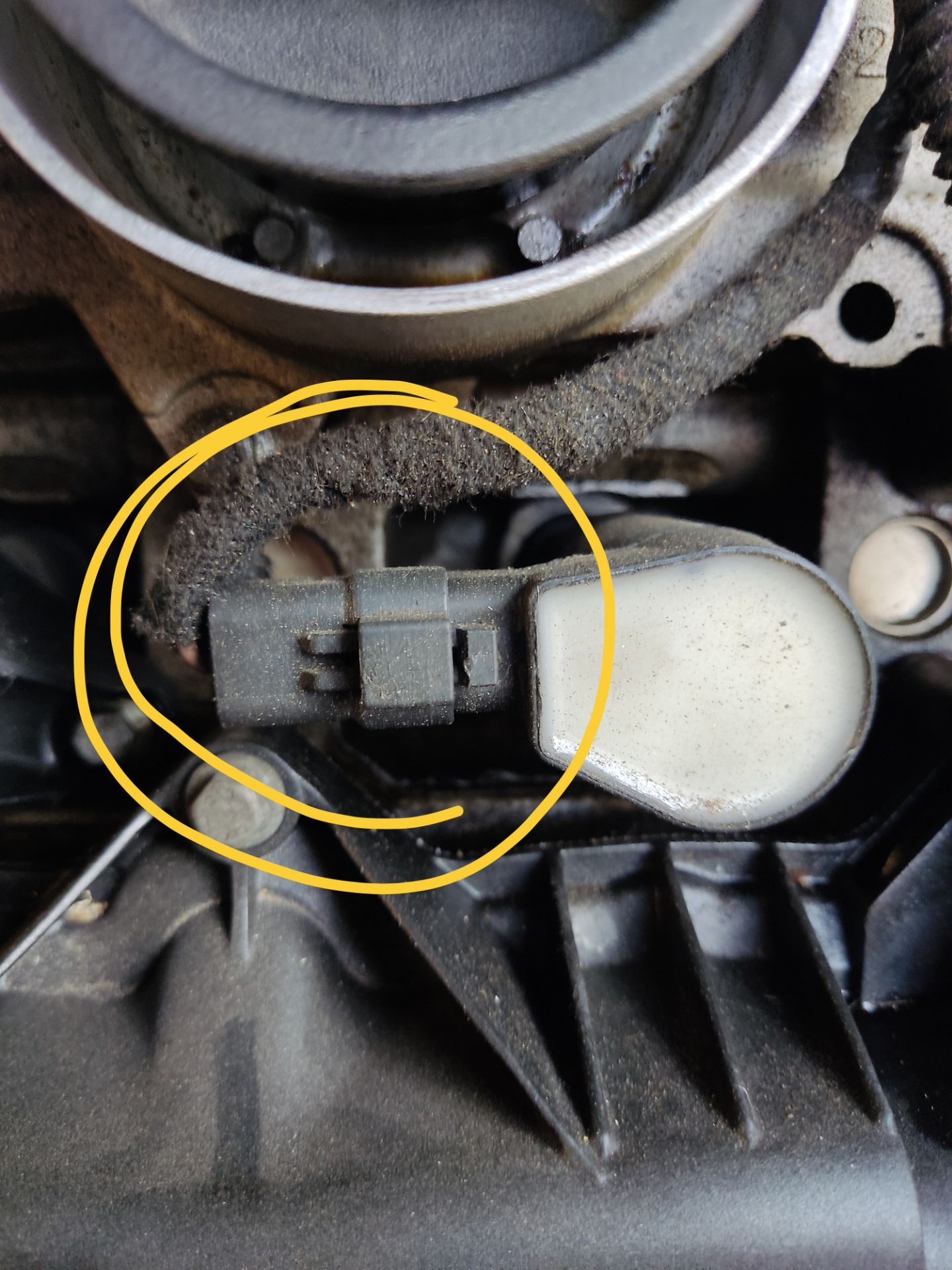 Ищу коды для фишки под катушку и дроссельную заслонку — Peugeot 607, 3 ...