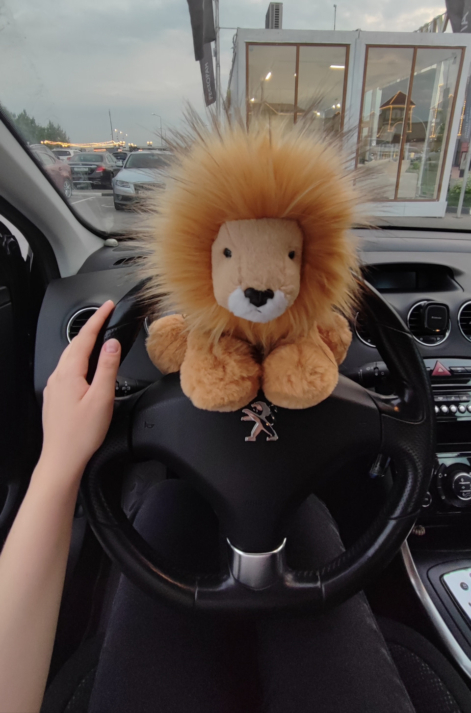 Талисман в машинку — DRIVE2
