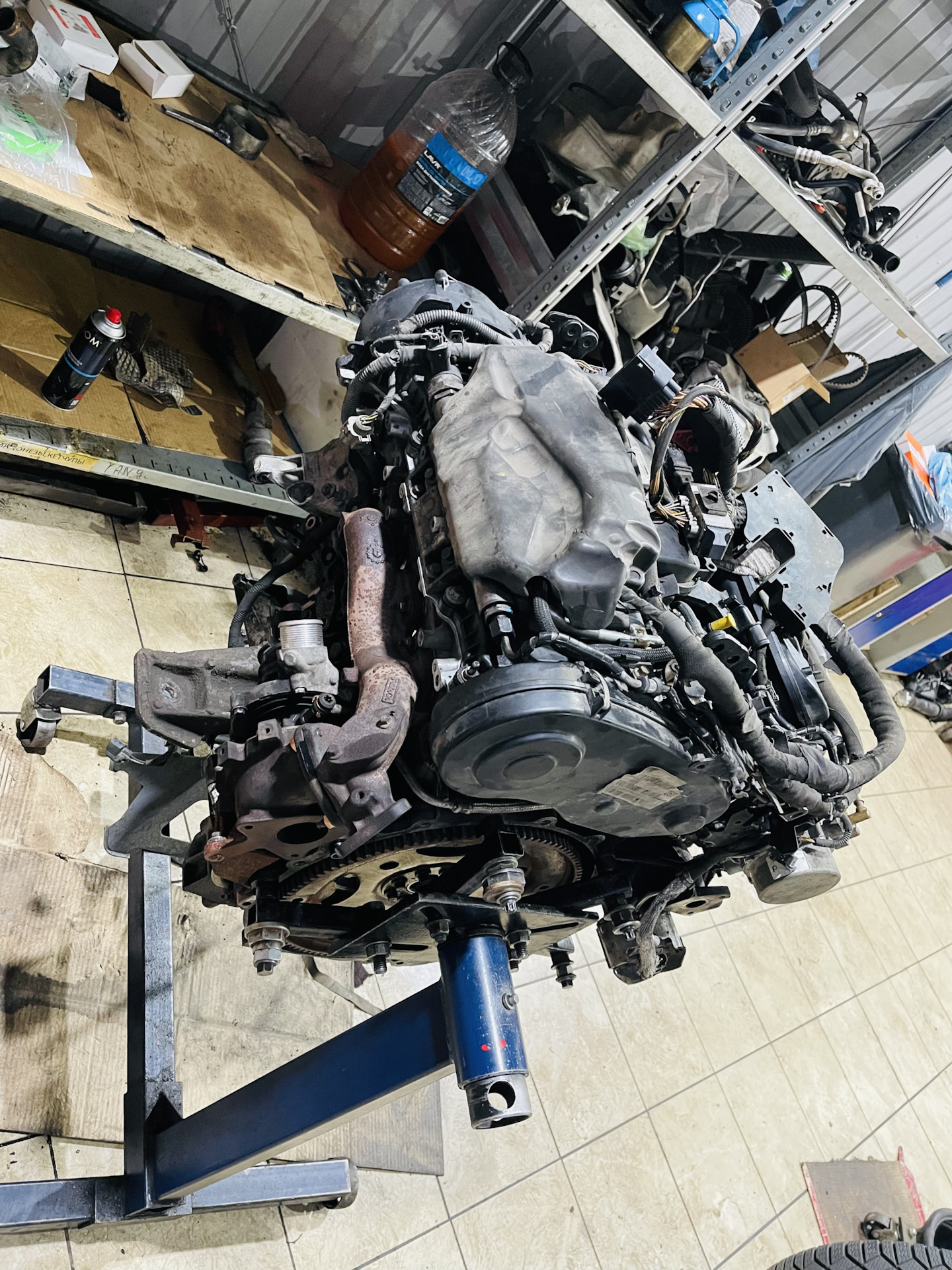 ДВС собран — Land Rover Range Rover Sport (1G), 3 л, 2010 года ...