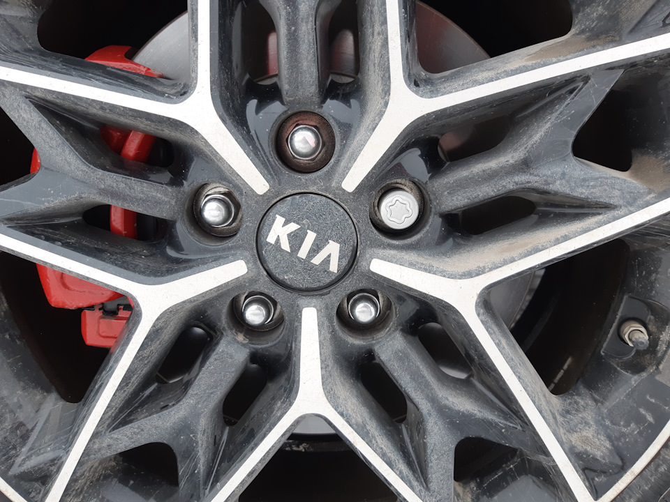 Непредвиденная поломка, присадка ЛИКВИ МОЛЛИ — Audi 100 (C4), 2,6 л ...