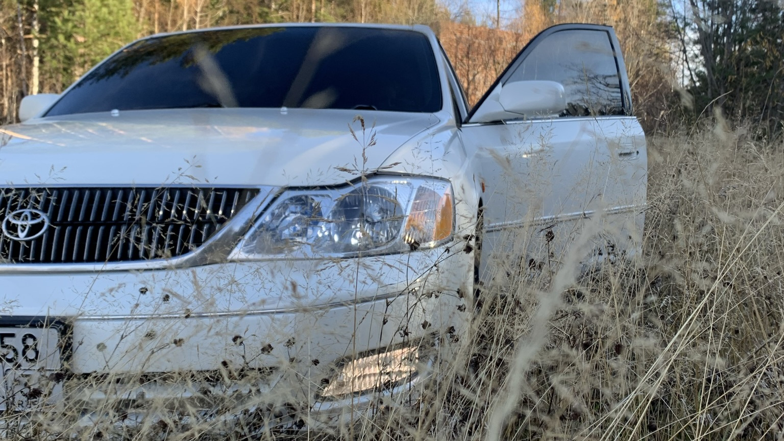 Toyota Pronard 3.0 бензиновый 2000 | Sultan, 3.0G на DRIVE2