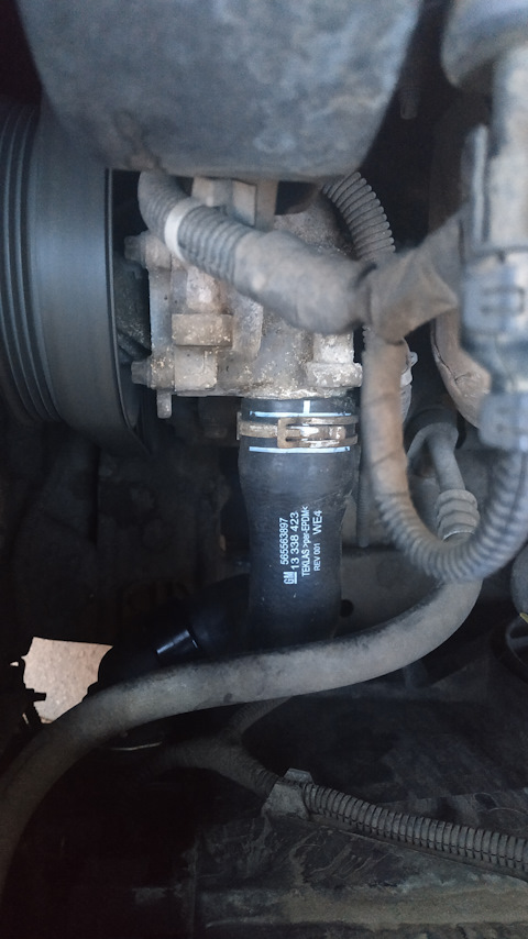 565563897 Патрубок радиатора GM | Запчасти на DRIVE2