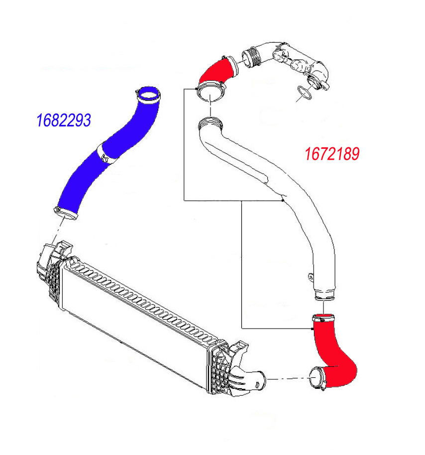 Силиконовые патрубки Ford Focus 2, 1.6 Дизель — Salers-technology на DRIVE2