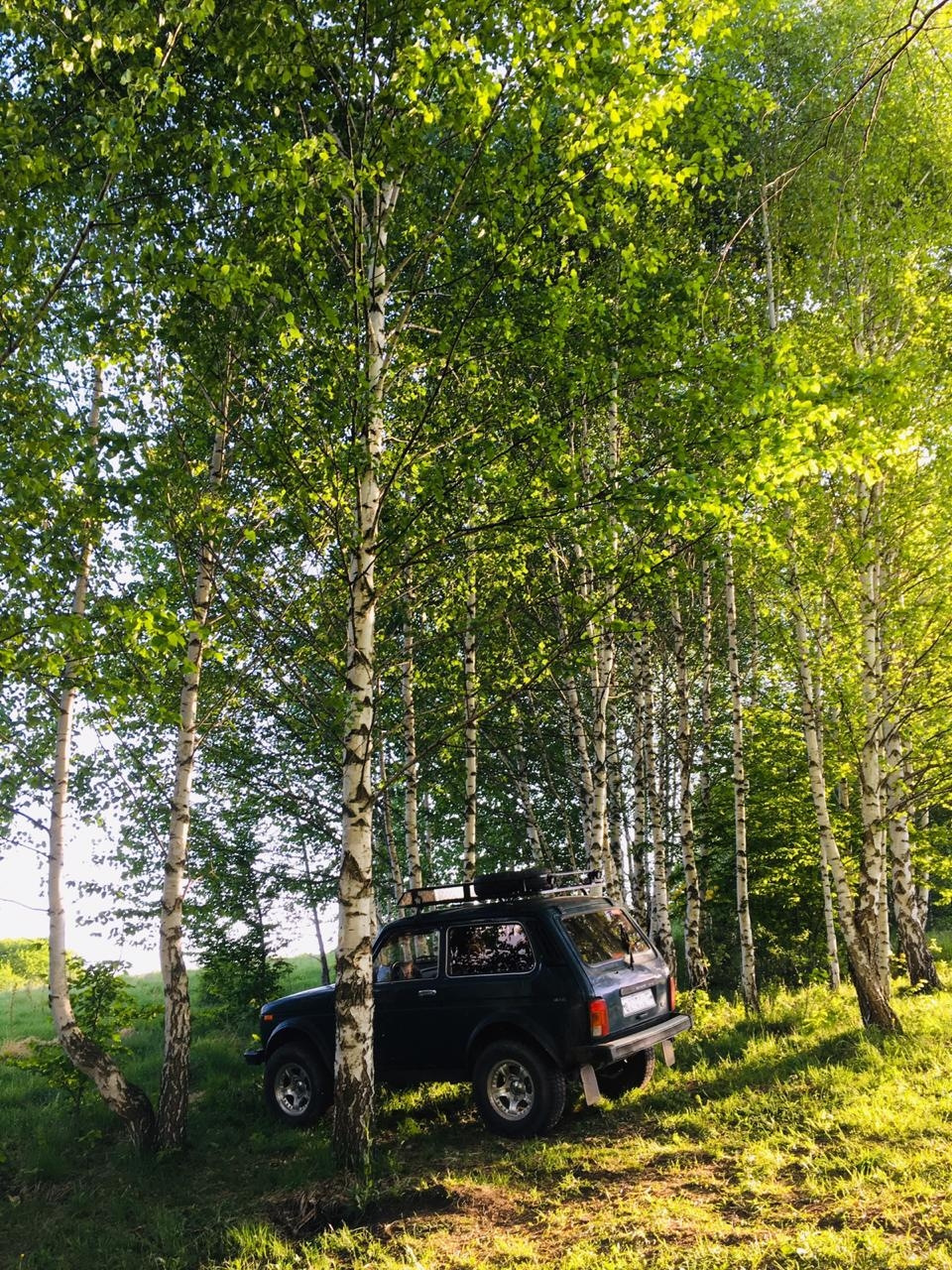 Пыльник Шруса Трек — Lada 4x4 3D, 1,7 л, 2002 года | тюнинг | DRIVE2