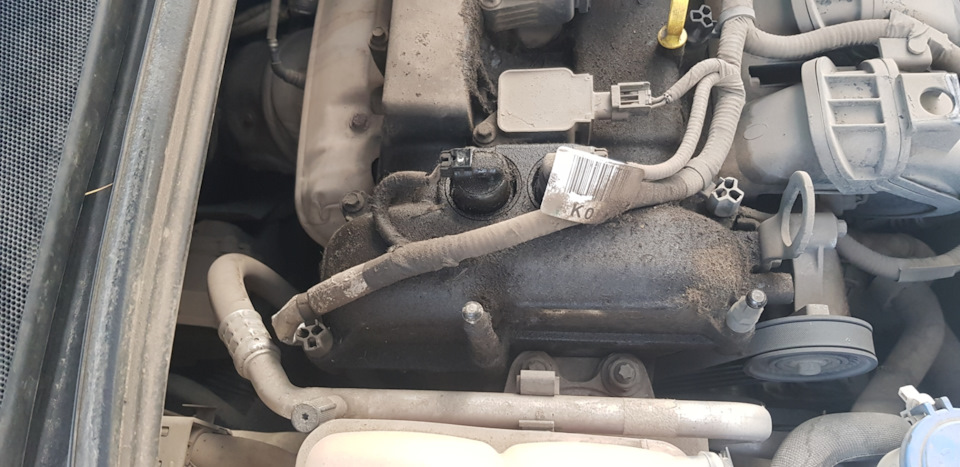 Help — Ford Focus Hatchback III, 2 л, 2012 года | наблюдение | DRIVE2