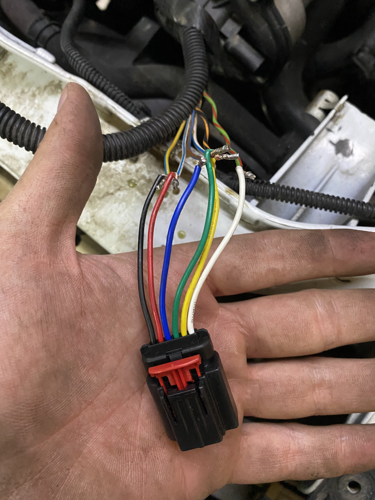 Ошибка по акселератору и дросселю P1246 и P2135 — Ford Focus Hatchback ...