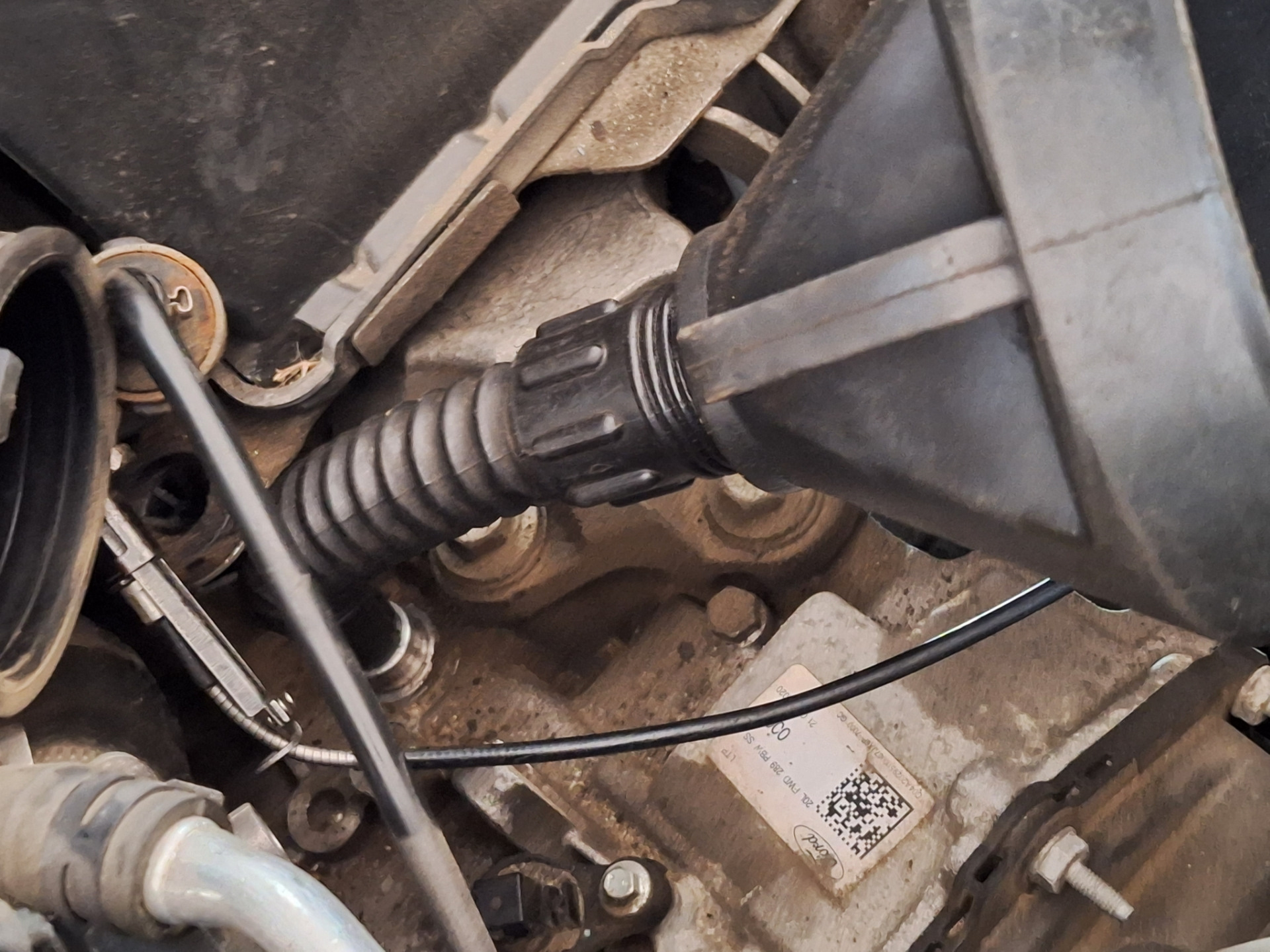 Замена масла в АКПП 8F40 — Ford Focus Wagon IV, 2 л, 2019 года | визит ...