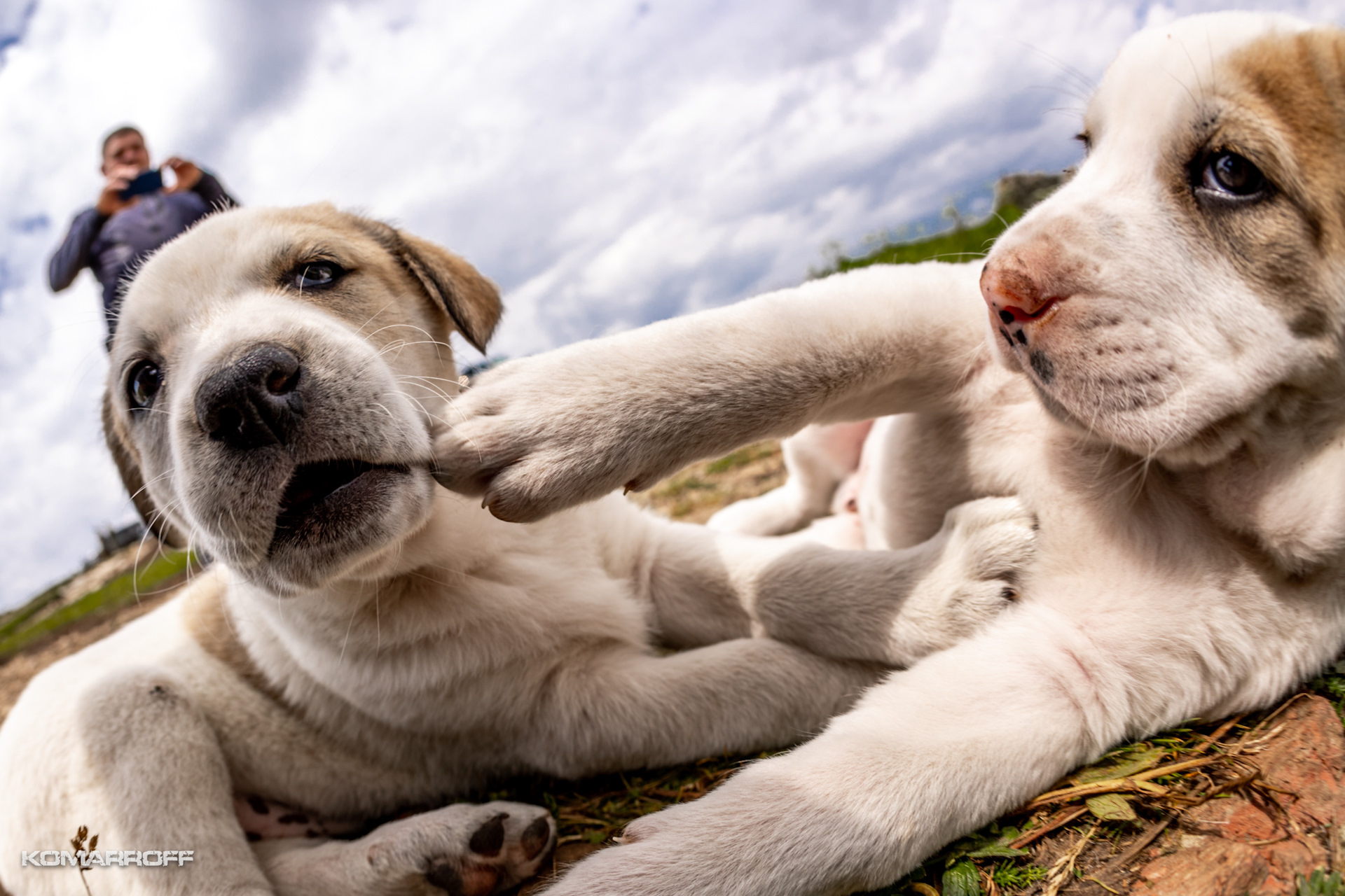 Яма vs Китайские диски — Mercedes-Benz S-Class (W220), 5 л, 2001 года ...