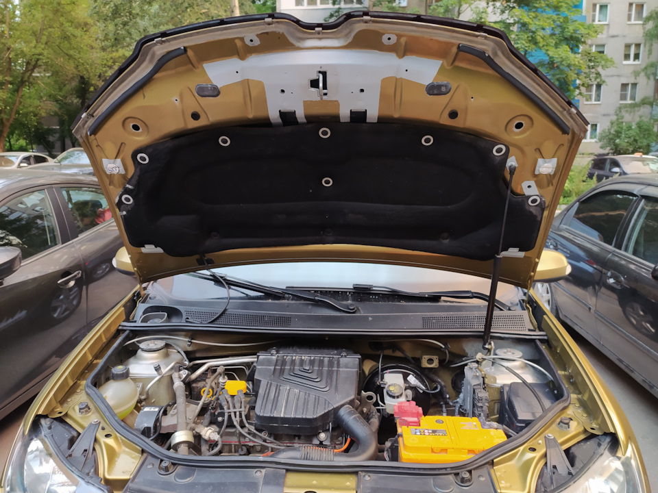 Антикор капота и стаканов на Рено Сандеро Степвей — Renault Sandero ...