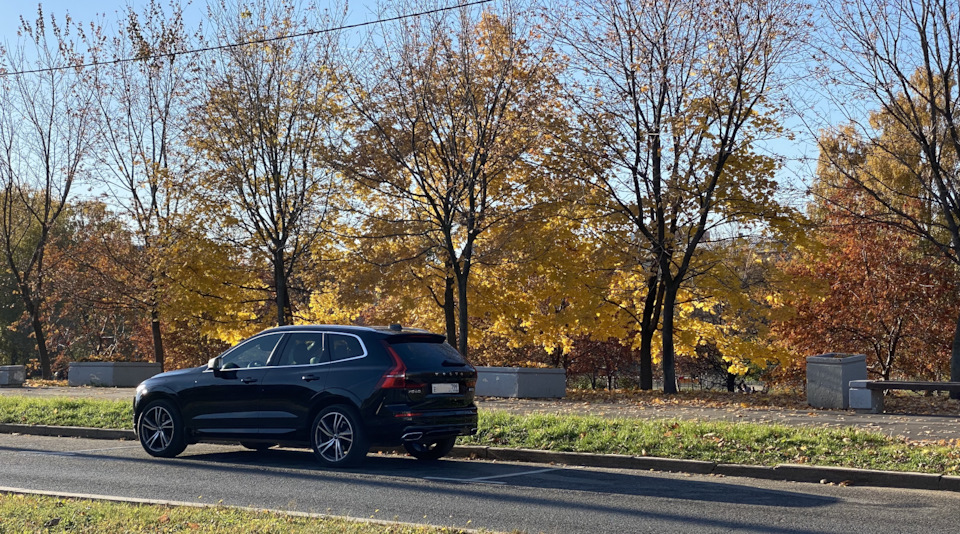 Осень — Volvo XC60 (2G), 2 л, 2018 года | фотография | DRIVE2