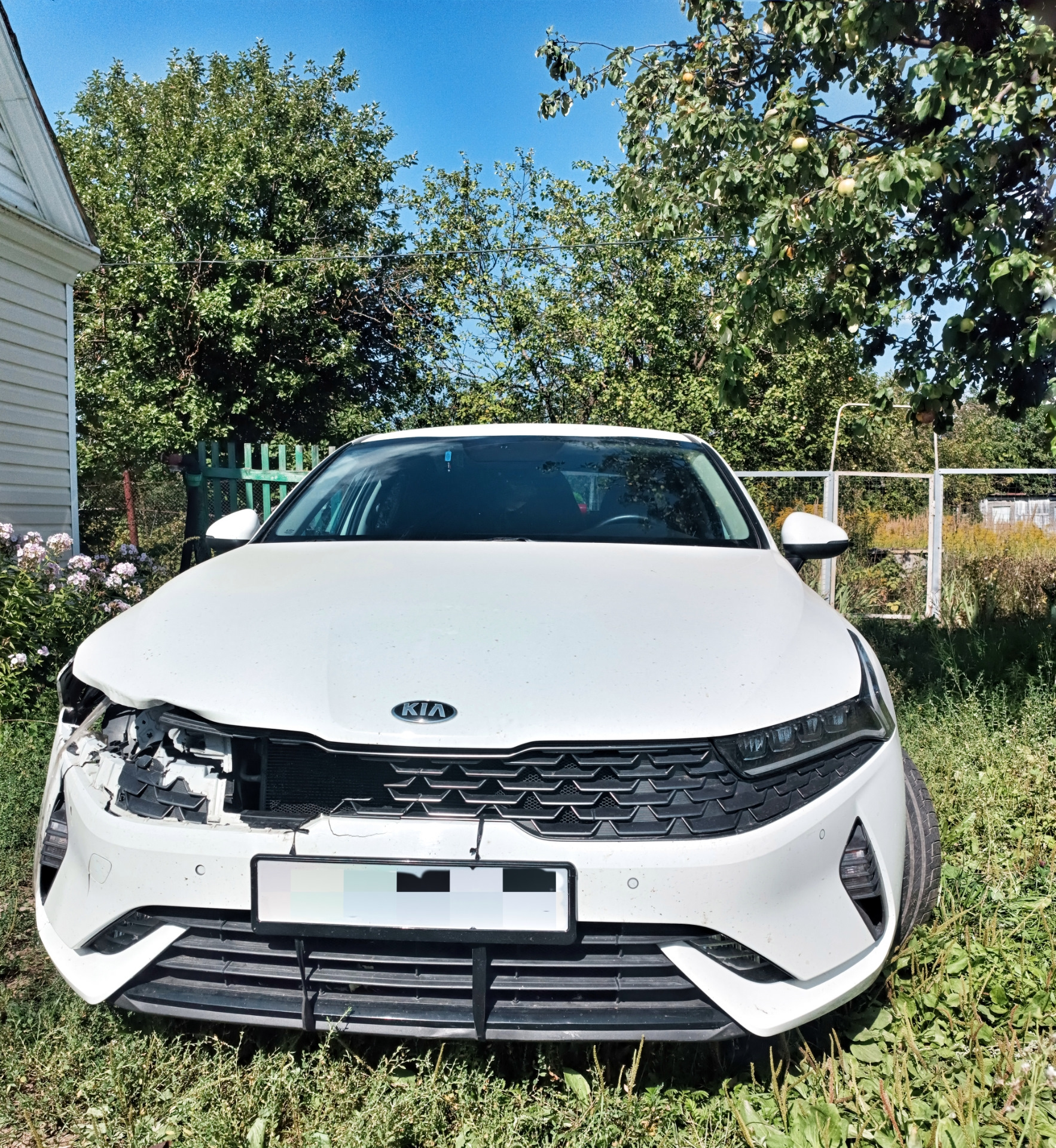 Восстановилась после ДТП со здоровенным лосем. — KIA K5 (3G), 2 л, 2020 ...