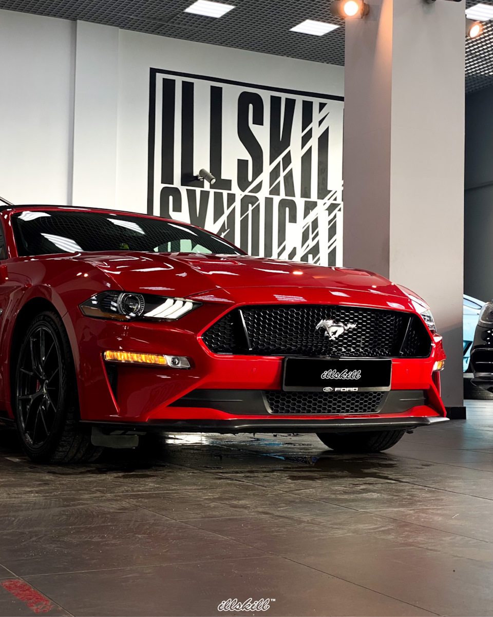 Спасайся, кто может! 5-литровый Мустанг на свободе! — ILLSKILL на DRIVE2