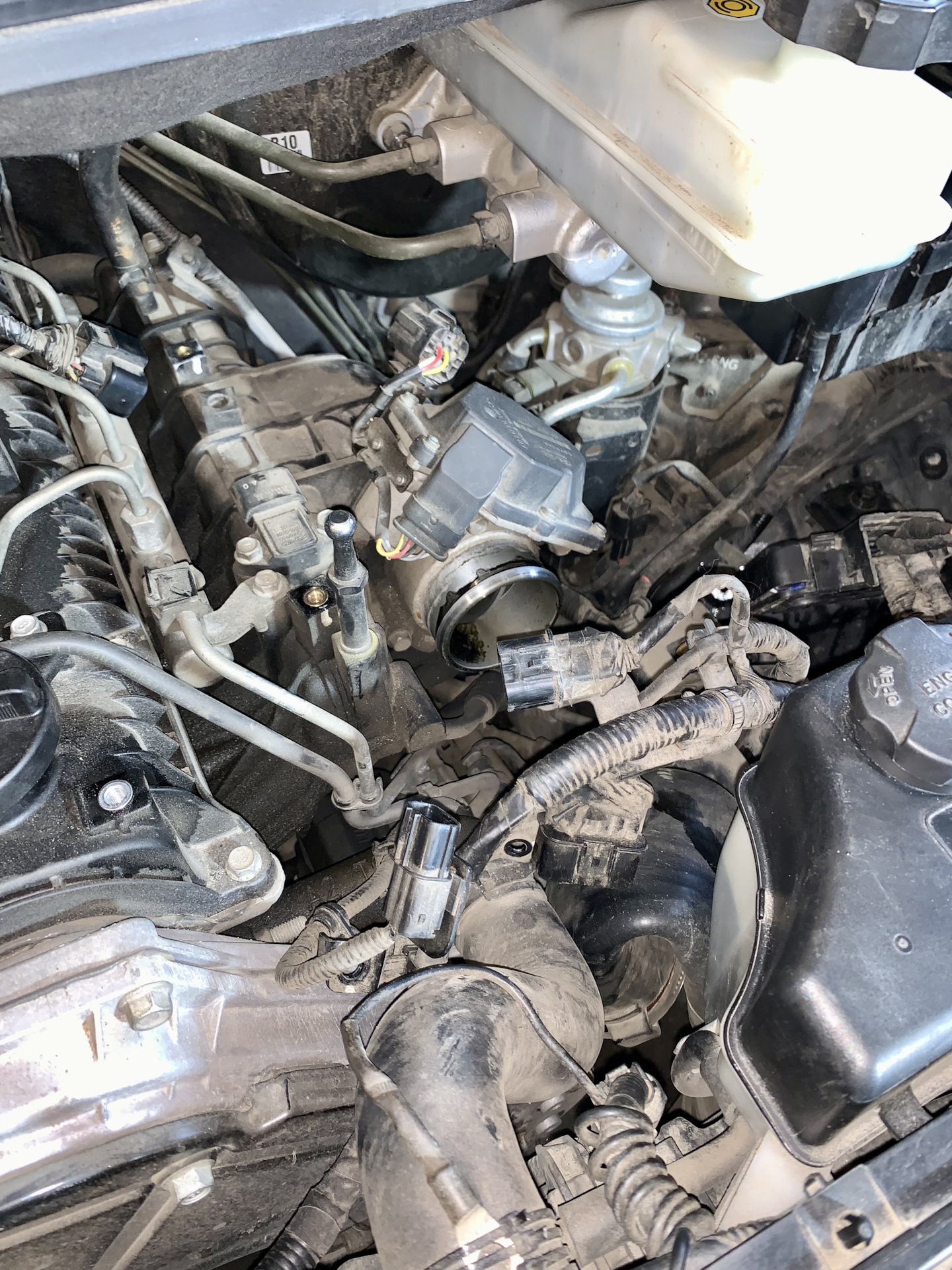 Прокладка впускного коллектора Euro V — Hyundai Grand Starex, 2,5 л ...