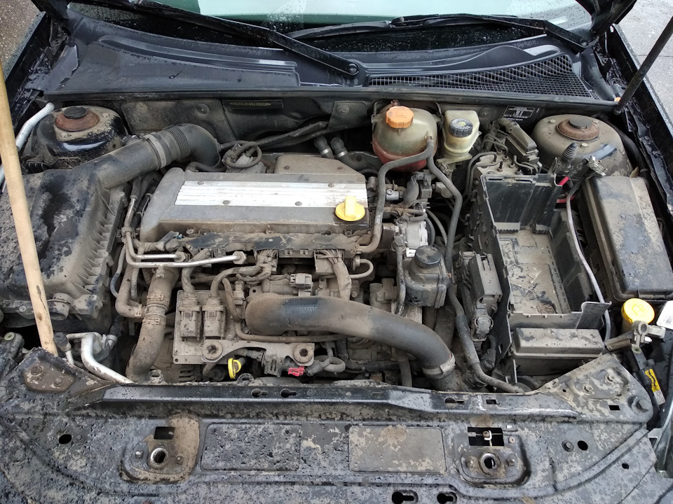 мойка моторного отсека — Cadillac BLS, 2 л, 2008 года | своими руками ...