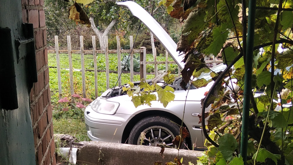 Honda Accord (6G) 1.8 бензиновый 1999 | F18b2 на DRIVE2