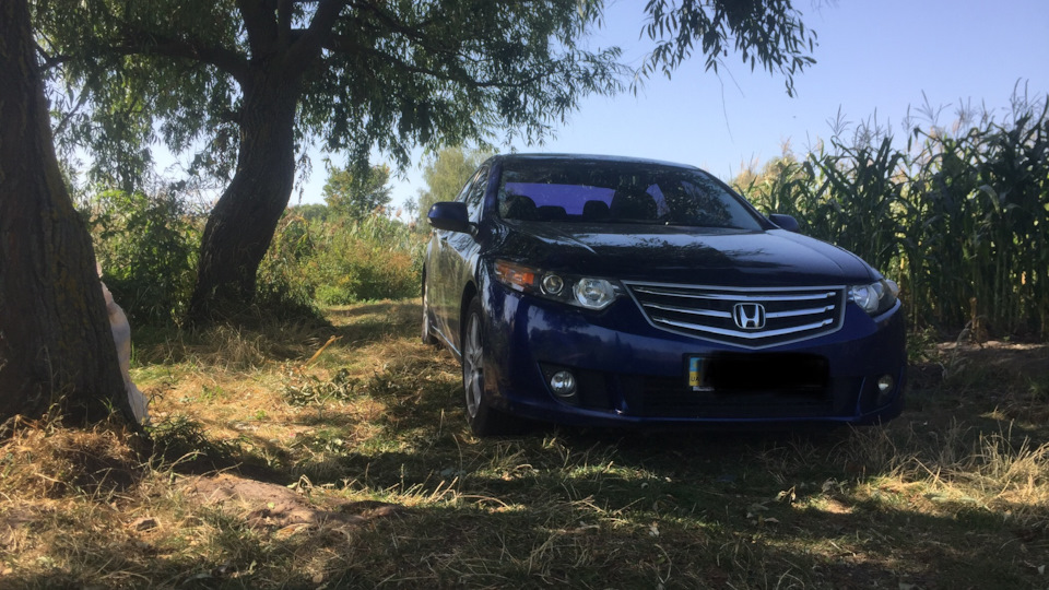 Honda Accord (8G) 2.0 бензиновый 2009 | R20A3 на DRIVE2