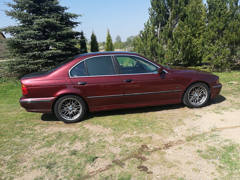 Восстановил ☺️😀 — BMW 5 series (E39), 3 л, 2000 года | ДТП | DRIVE2