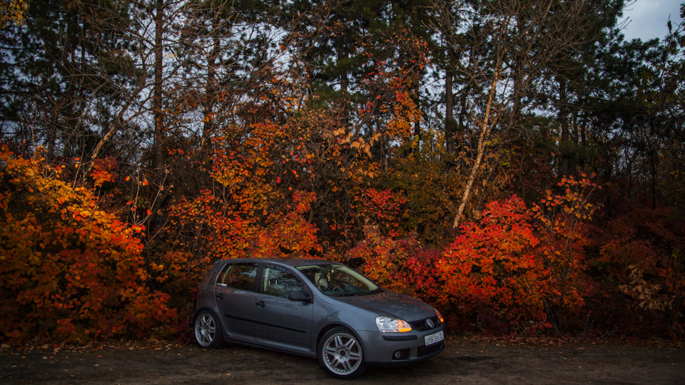 Volkswagen Golf Mk5 1.6 бензиновый 2008 | RAT на DRIVE2