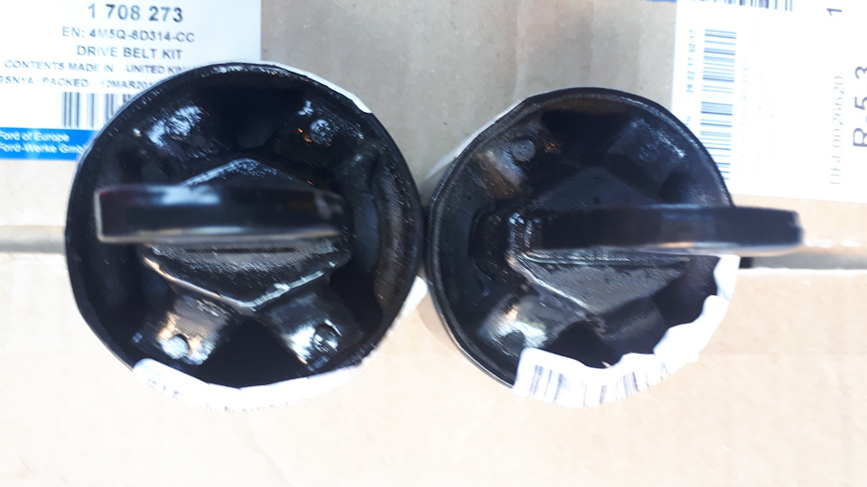 1708273 Комплект приводных ремней (генератор-гур, кондиционер) / Focus ...