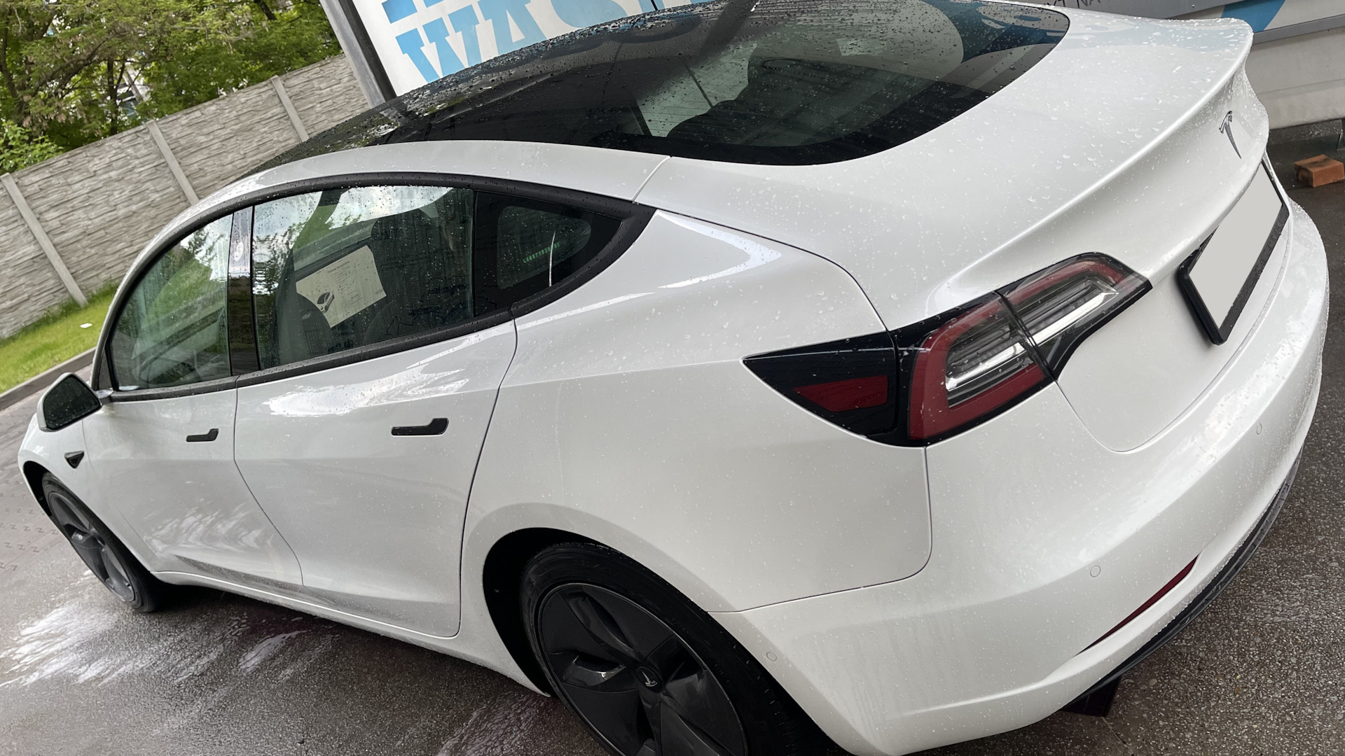Tesla Model 3 (1G) электрический 2019 | White turtle на DRIVE2