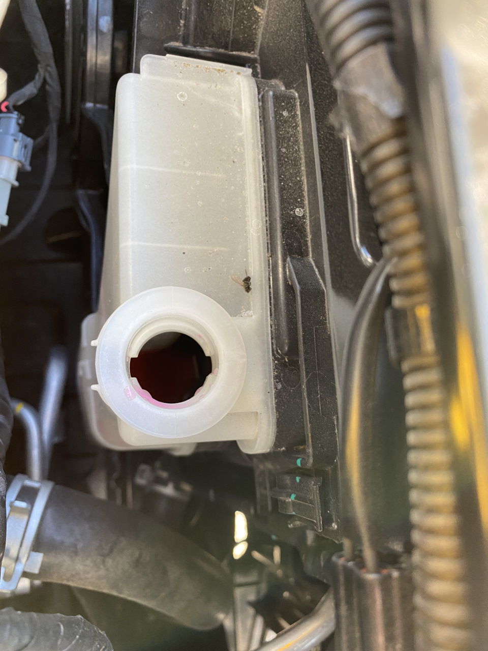 Экономисты блин) Доливка антифриза. — KIA Rio (4G), 1,6 л, 2021 года ...