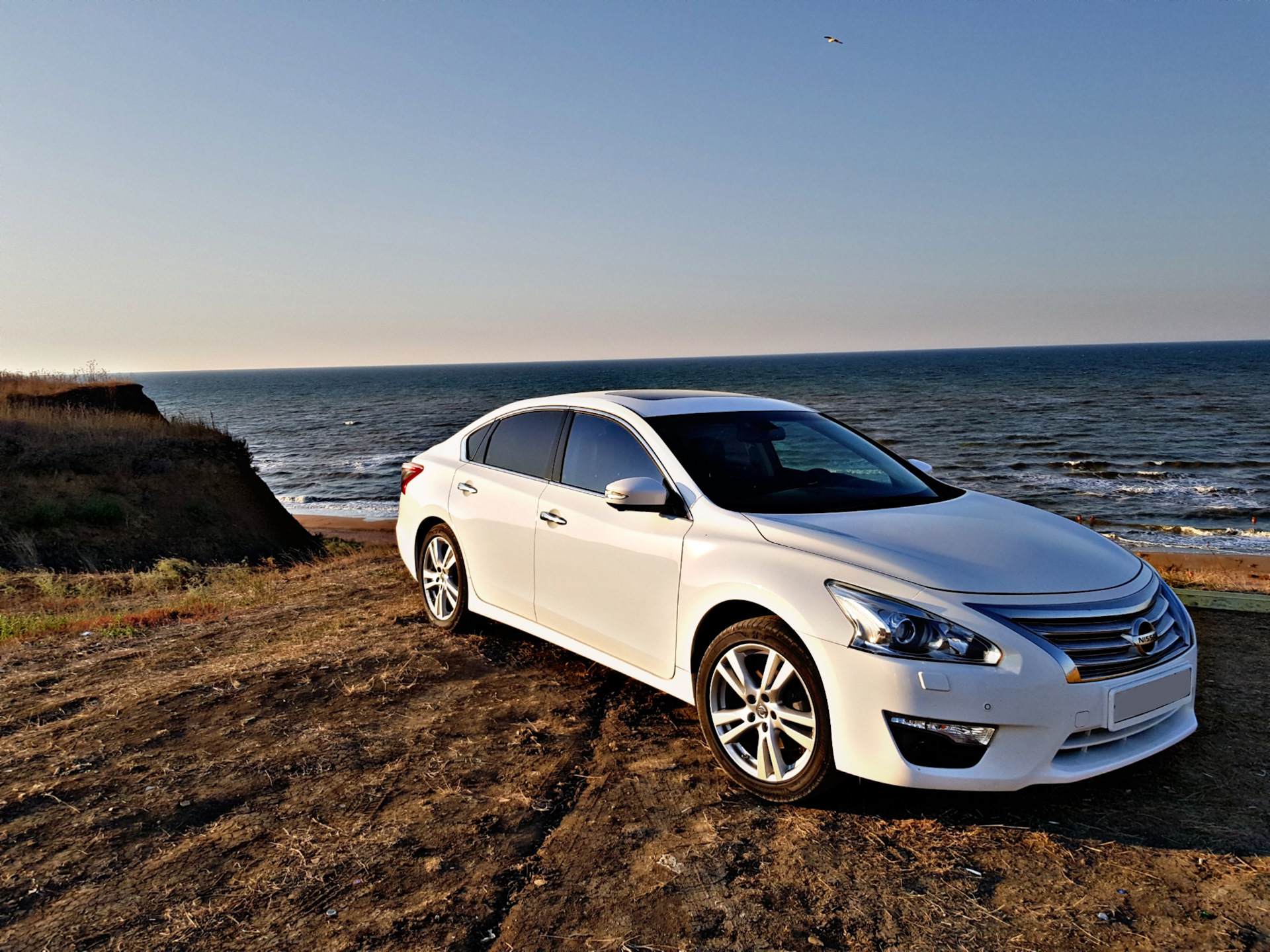 HELP! Первая запись с просьбой о советах) — Nissan Teana (L33), 3,5 л ...